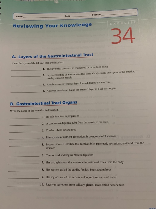 Name Section Date Reviewing Your Knowieige EXERC ISE | Chegg.com