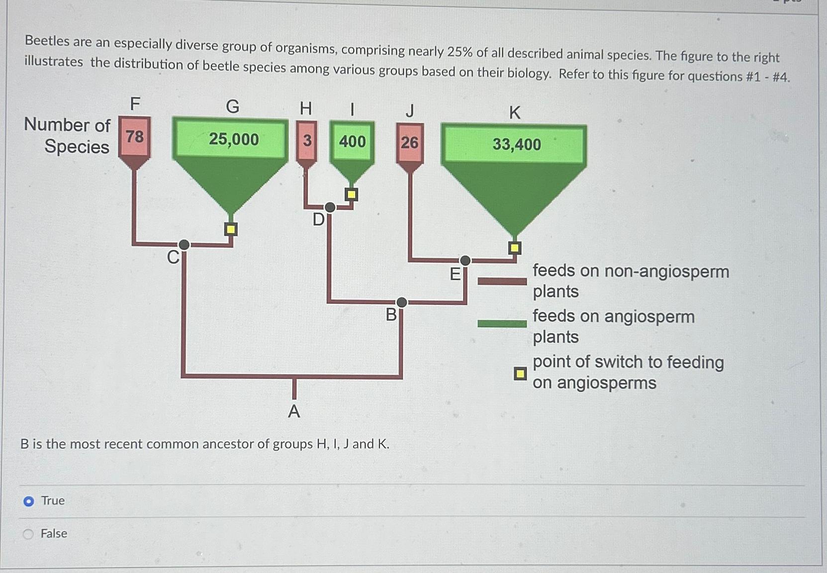 Solved Beetles are an especially diverse group of organisms, | Chegg.com