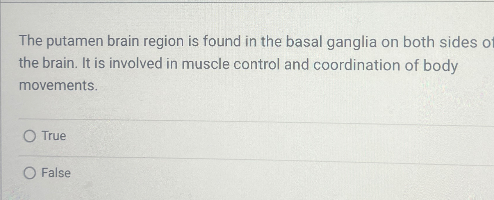 Solved The putamen brain region is found in the basal | Chegg.com
