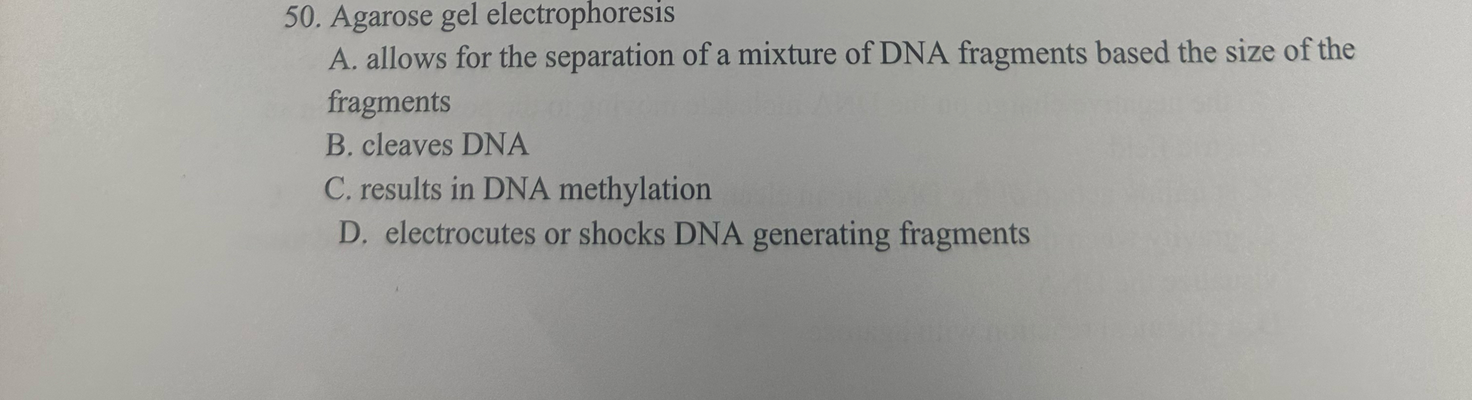 Solved Agarose gel electrophoresisA. ﻿allows for the | Chegg.com