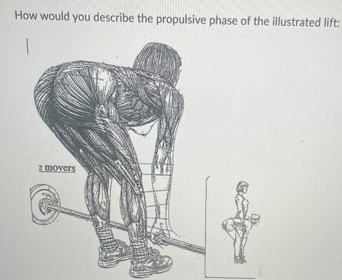 Solved How would you describe the propulsive phase of the | Chegg.com