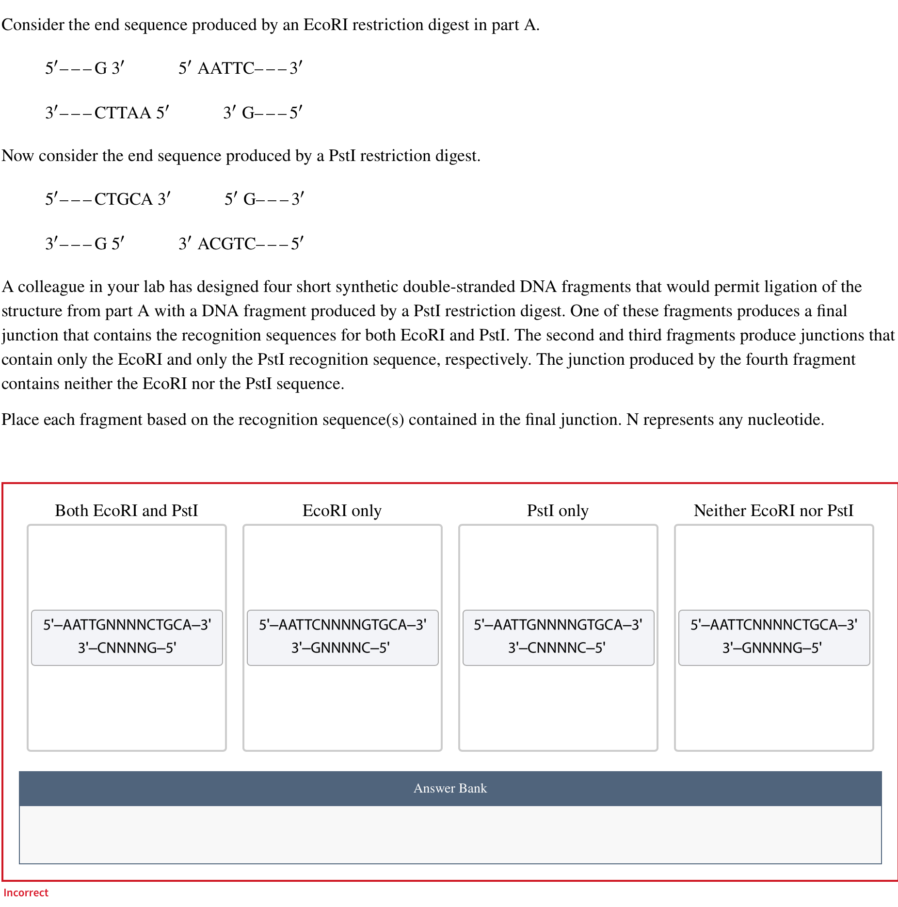 Solved Consider the end sequence produced by an EcoRI | Chegg.com
