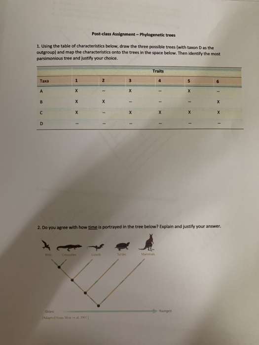 Solved Post-class Assignment-Phylogenetic trees 1. Using the | Chegg.com