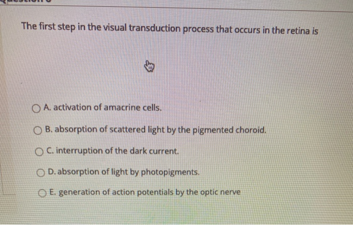 Solved The first step in the visual transduction process | Chegg.com