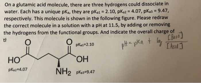 Solved On a glutamic acid molecule, there are three | Chegg.com
