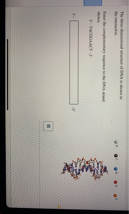 Solved The three-dimensional structure of DNA is shown in | Chegg.com