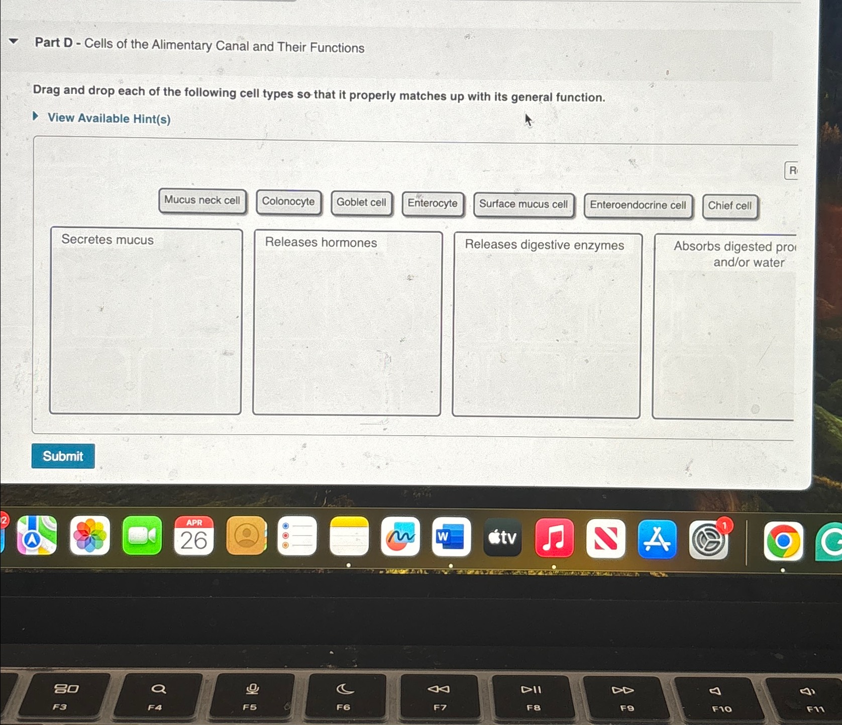 Solved Part D - ﻿Cells of the Alimentary Canal and Their | Chegg.com
