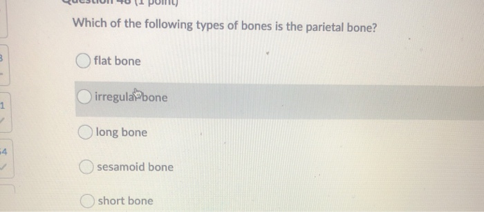 Solved QuesLIUI 40 (1 PUNIJ Which of the following types of | Chegg.com