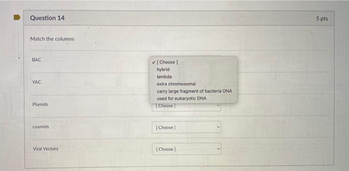 Solved Match the columns BAC YAC Plamids cosmids Viral | Chegg.com