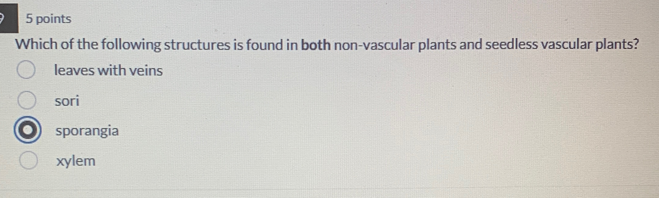 Solved 5 ﻿pointsWhich of the following structures is found | Chegg.com