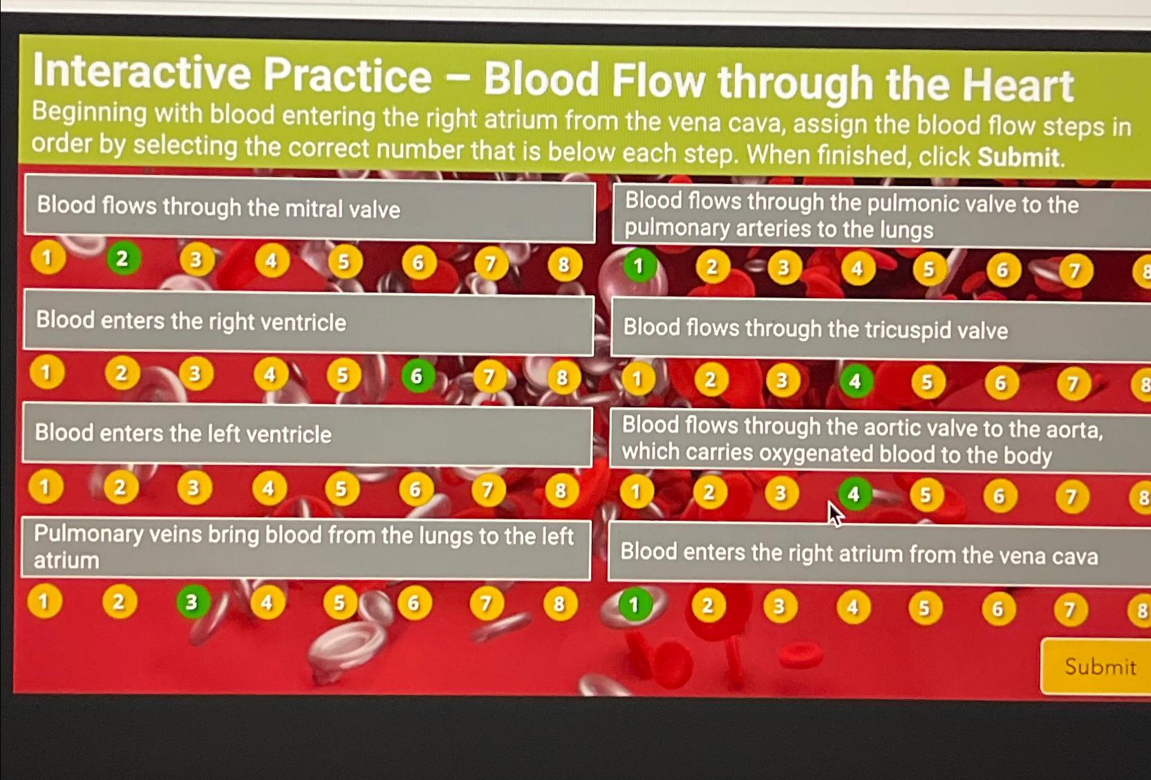 Solved Interactive Practice - ﻿Blood Flow through the | Chegg.com