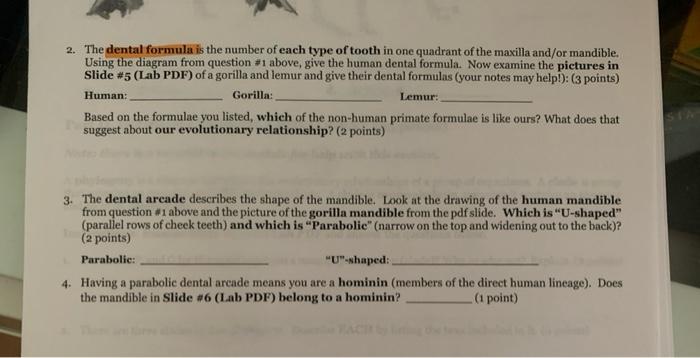 2. The dental formula is the number of each type of | Chegg.com