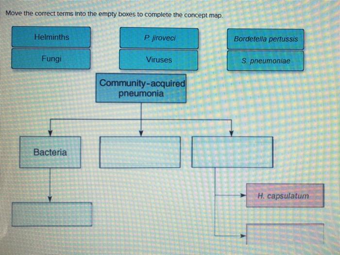 Pneumonia Concept Map