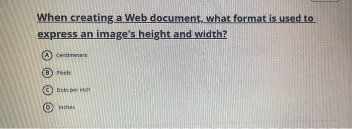 Solved meta > tags always goes inside the | Chegg.com