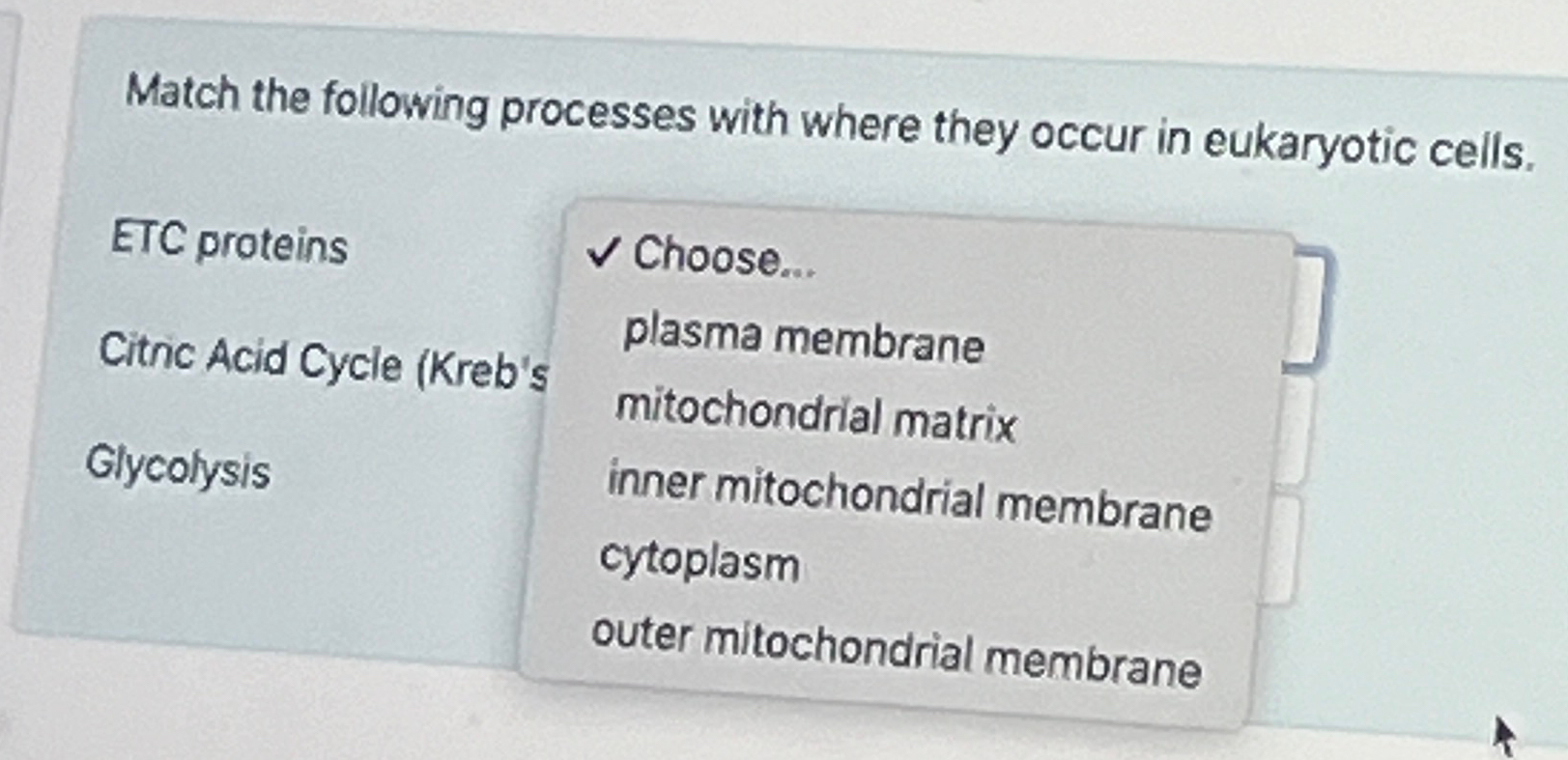 Solved Match the following processes with where they occur | Chegg.com
