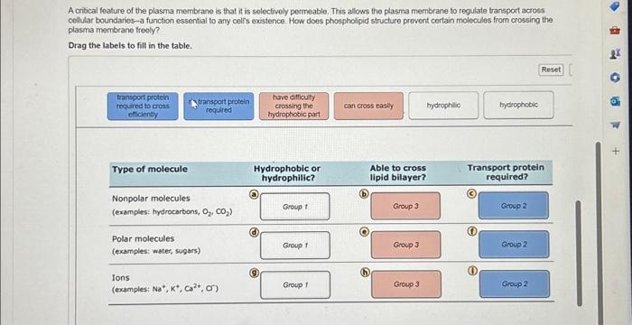 Solved A critical feature of the plasma membrane is that it | Chegg.com