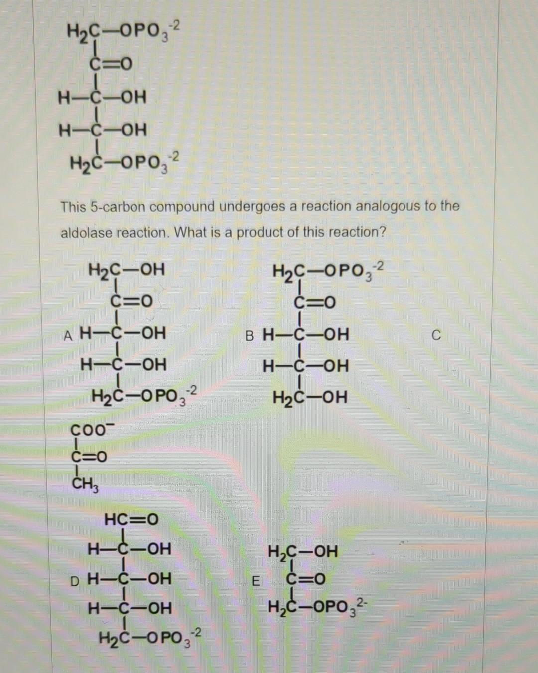 Solved This 5-carbon compound undergoes a reaction analogous | Chegg.com