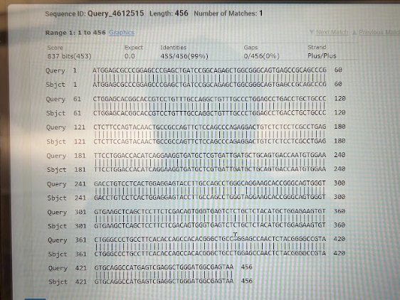 Solved Looking at this sequence alignment comparing two | Chegg.com