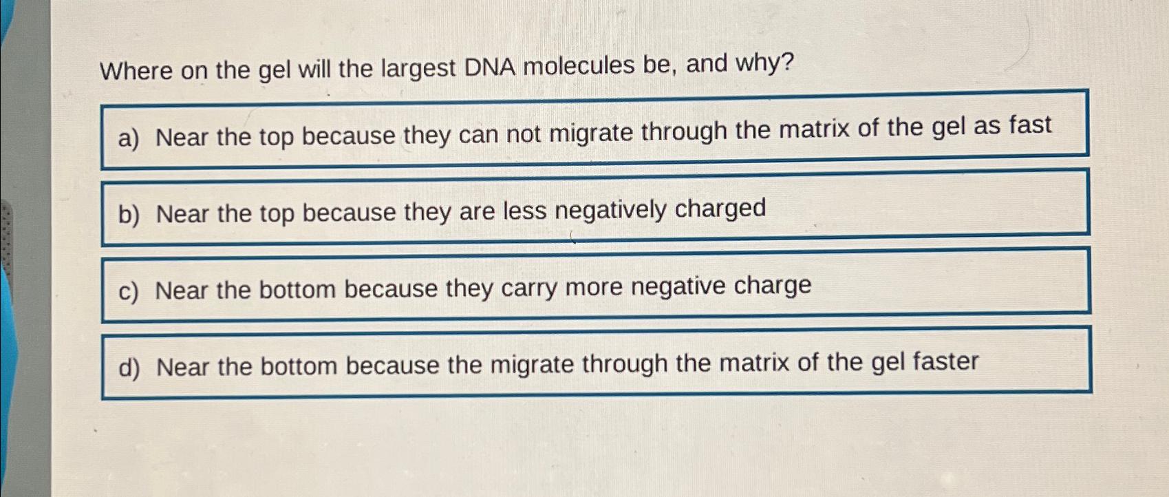 Solved Where on the gel will the largest DNA molecules be, | Chegg.com