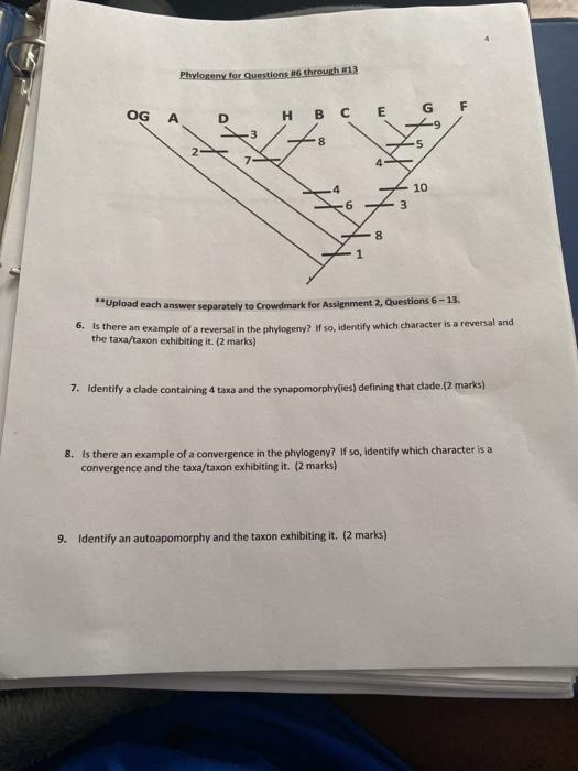 Solved Phylogeny for Questions throwth 13 F G OG E А D H в с | Chegg.com