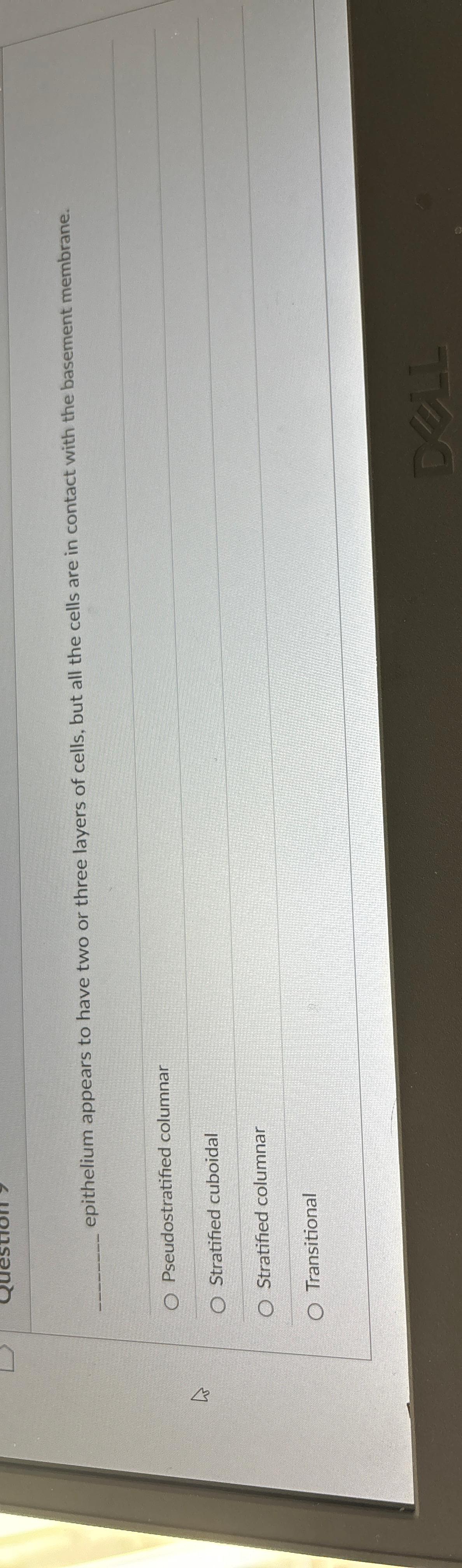 Solved epithelium appears to have two or three layers of | Chegg.com