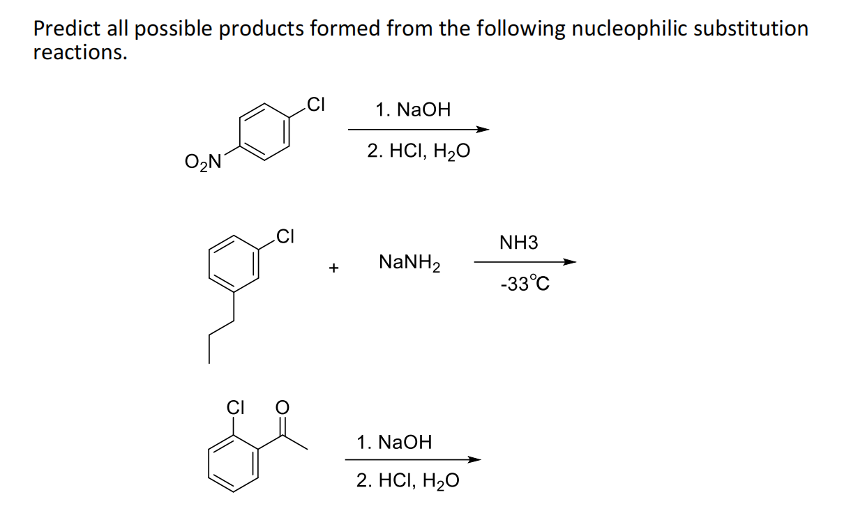Solved Predict all possible products formed from the | Chegg.com