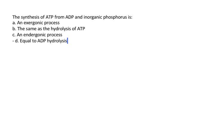 The synthesis of ATP from ADP and inorganic | Chegg.com