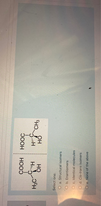 Solved COOH HOOC нс-С"н HOCH OH HO Select one: O a. | Chegg.com