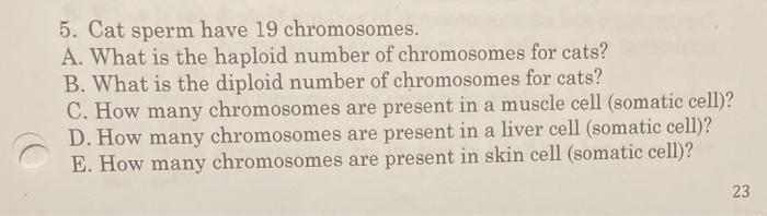 Solved 5. Cat sperm have 19 chromosomes. A. What is the | Chegg.com