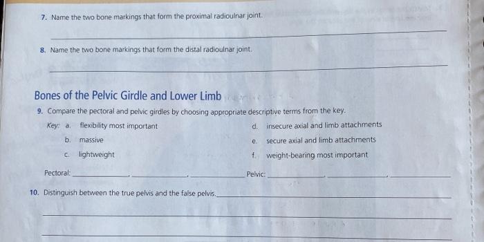Solved Instructors may assign a portion of the Review Sheet | Chegg.com