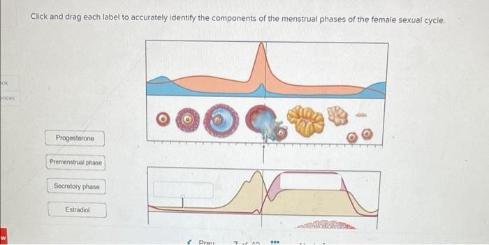 Solved Click and drag each label to accurately identify the | Chegg.com
