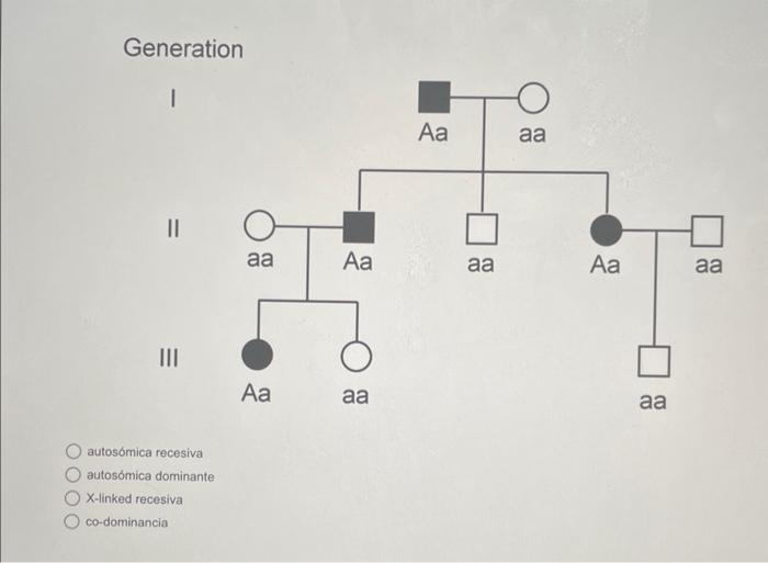 Solved Generation autosómica recesiva autosomica dominante | Chegg.com