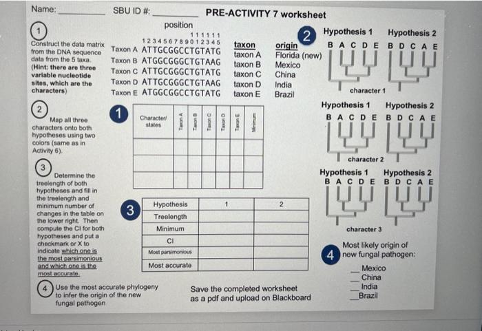 Name: SBU ID \#: PRE-ACTIVITY 7 worksheet position | Chegg.com