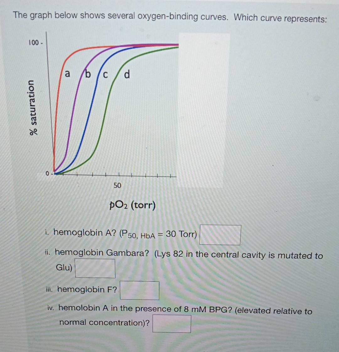 Solved The graph below shows several oxygen-binding curves. | Chegg.com