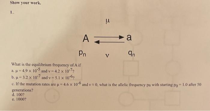 Solved Show your work. 1. What is the equilibrium frequency | Chegg.com