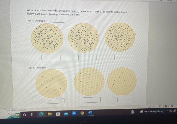 Solved Part I: Calibrating CFU/ml with Optical Density at | Chegg.com