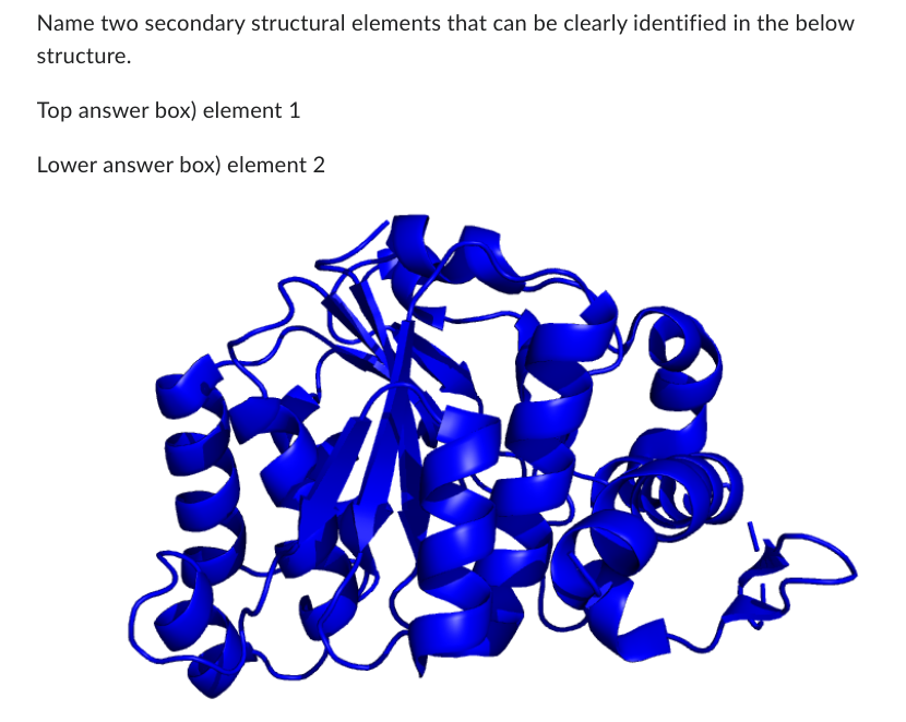 Solved Name two secondary structural elements that can be | Chegg.com