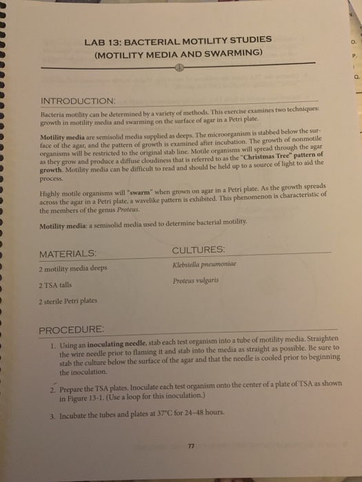 LAB 13: BACTERIAL MOTILITY STUDIES (MOTILITY MEDIA | Chegg.com
