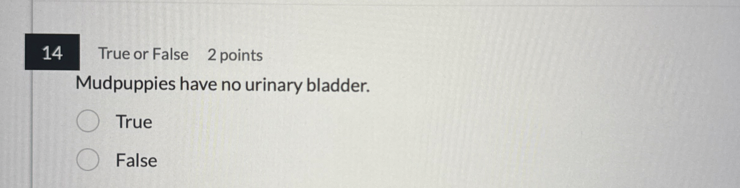 Solved 14True or False 2 ﻿pointsMudpuppies have no urinary | Chegg.com
