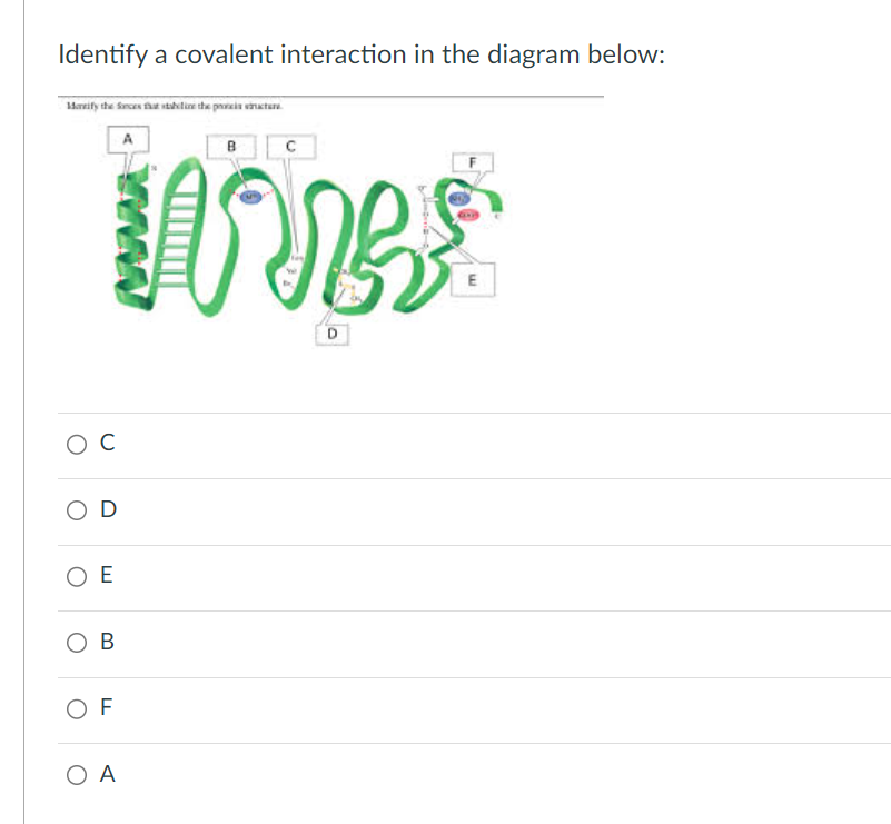 Solved Identify a covalent interaction in the diagram | Chegg.com
