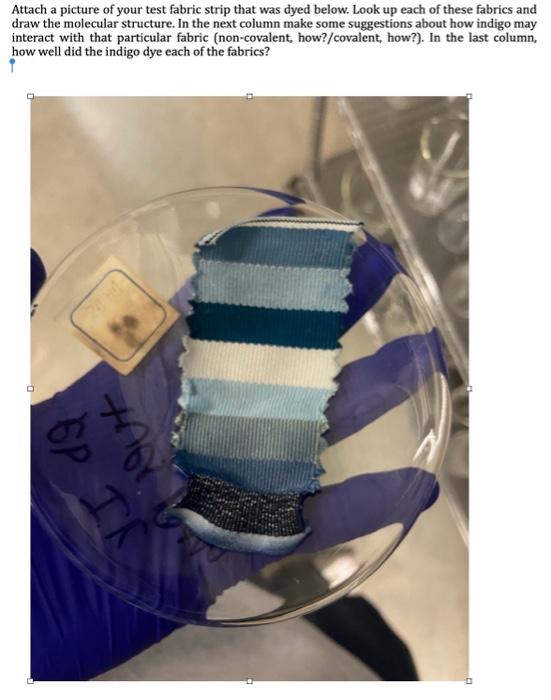 Attach a picture of your test fabric strip that was | Chegg.com