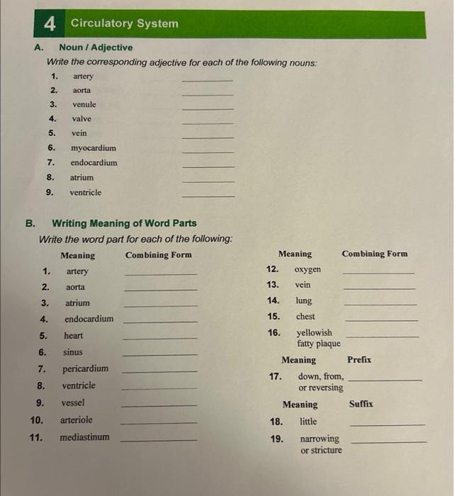 Solved C. Writing the Meaning of Word Parts Write the | Chegg.com