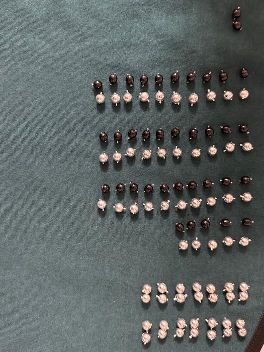 Solved hese as B bead and b beads, respectively. a. What is | Chegg.com