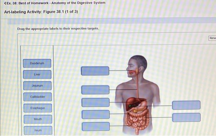 Solved Question | Chegg.com