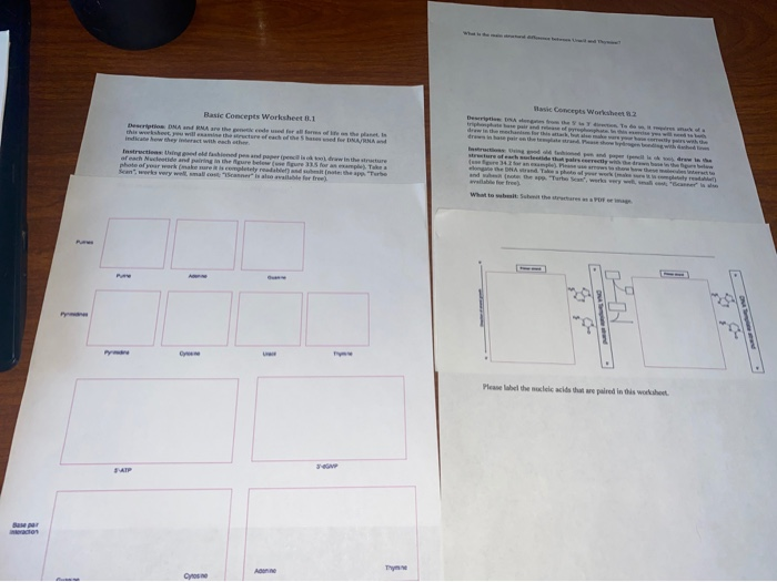 Basic Concepts Worksheet2 Basic Concepts Worksheet | Chegg.com