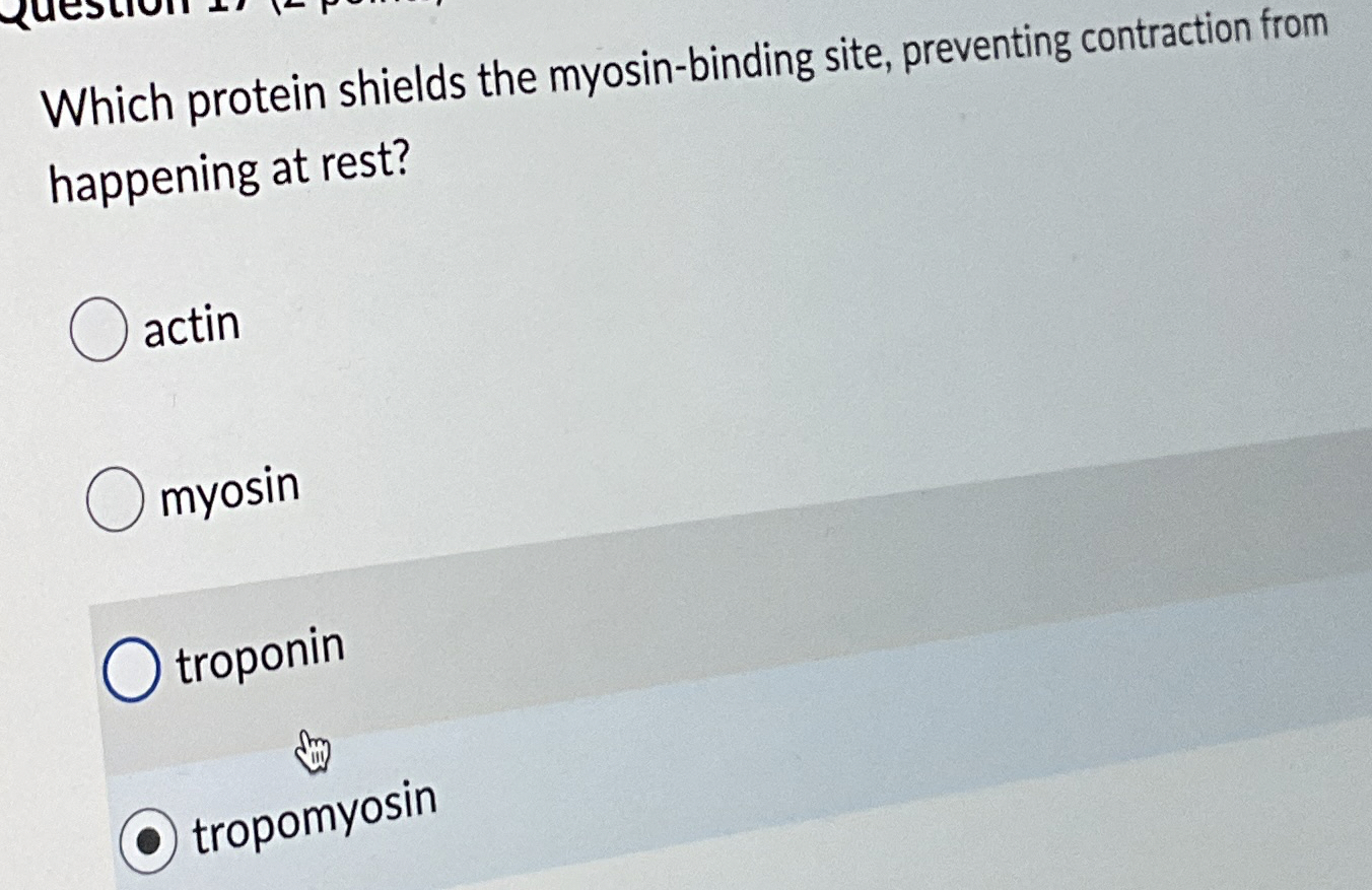 Solved Which protein shields the myosin-binding site, | Chegg.com