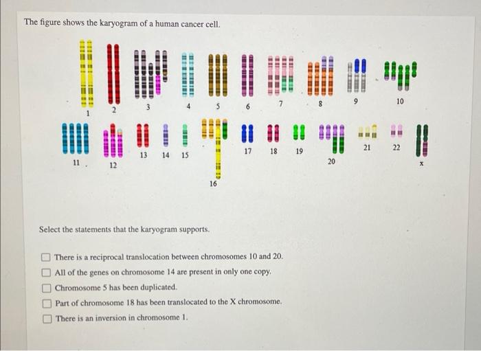 Solved Place the type of translocation and sequence or | Chegg.com