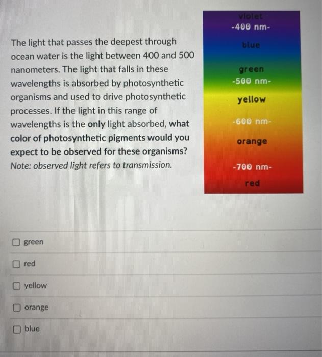 Solved violet -400 nm- blue green -500 nm- The light that | Chegg.com