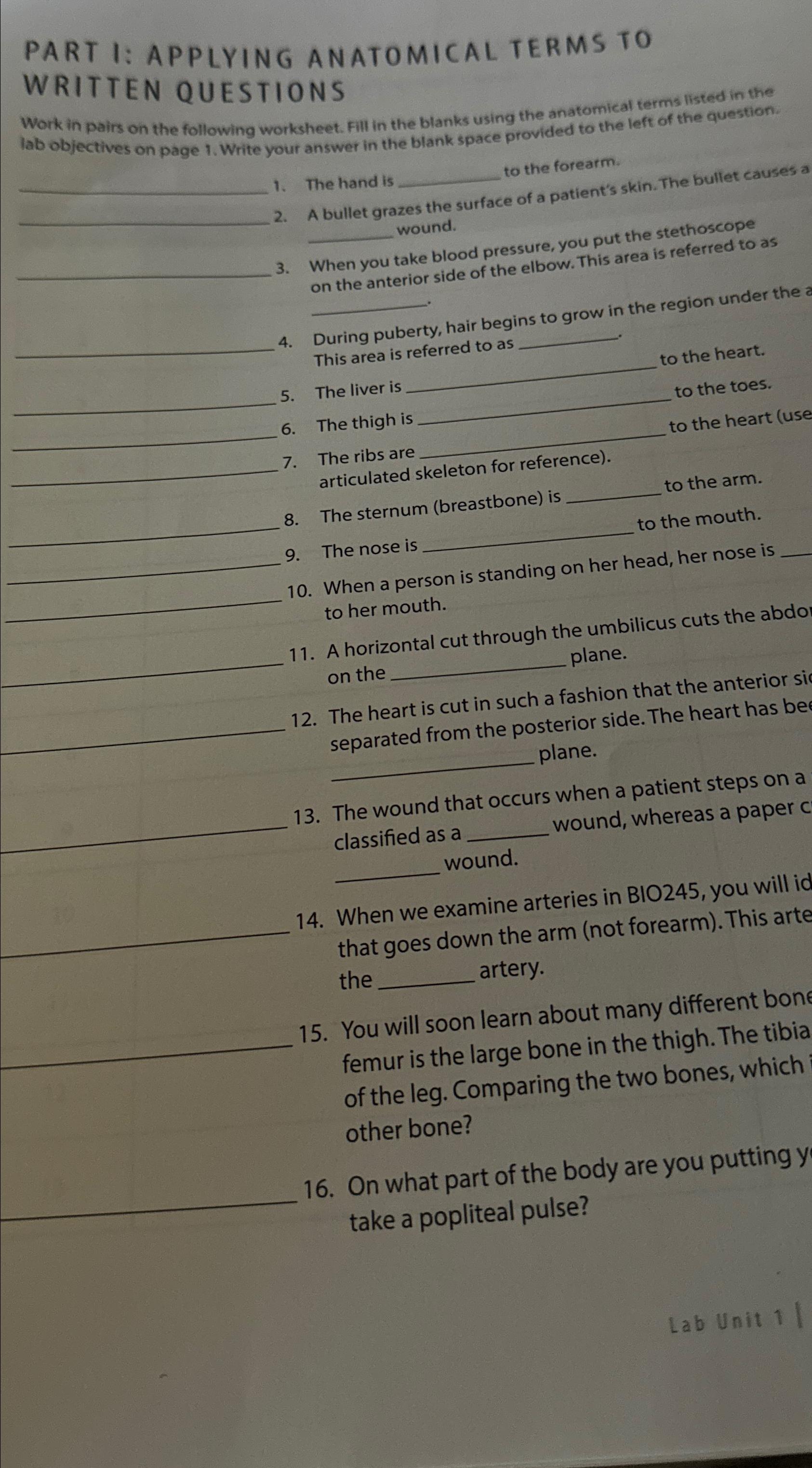 Solved PART I: APPLYING ANATOMICAL TERMS TO WRITTEN | Chegg.com