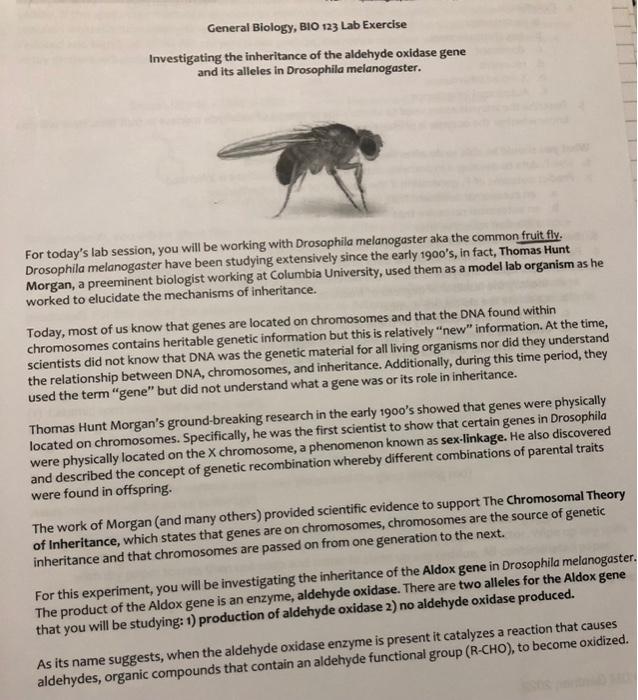 Solved Exercise \# 2 Determining the Pattern of Inheritance | Chegg.com